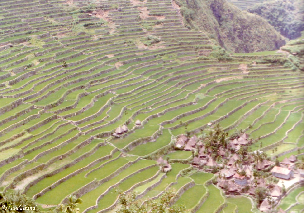 World Heritage #0722 - Philippine Rice Terraces | Sandalsand